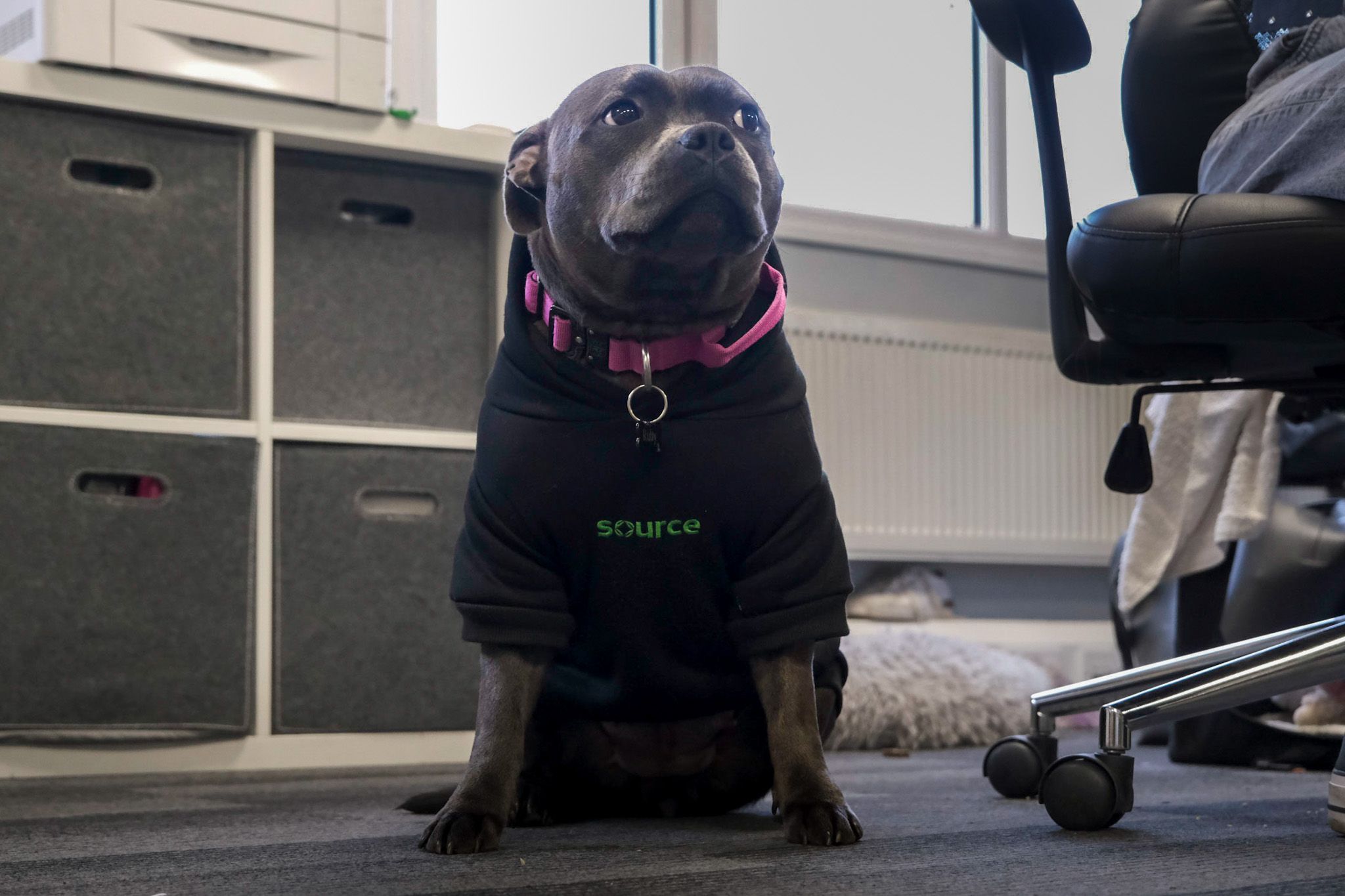 SOURCE - Made Blue Foundation