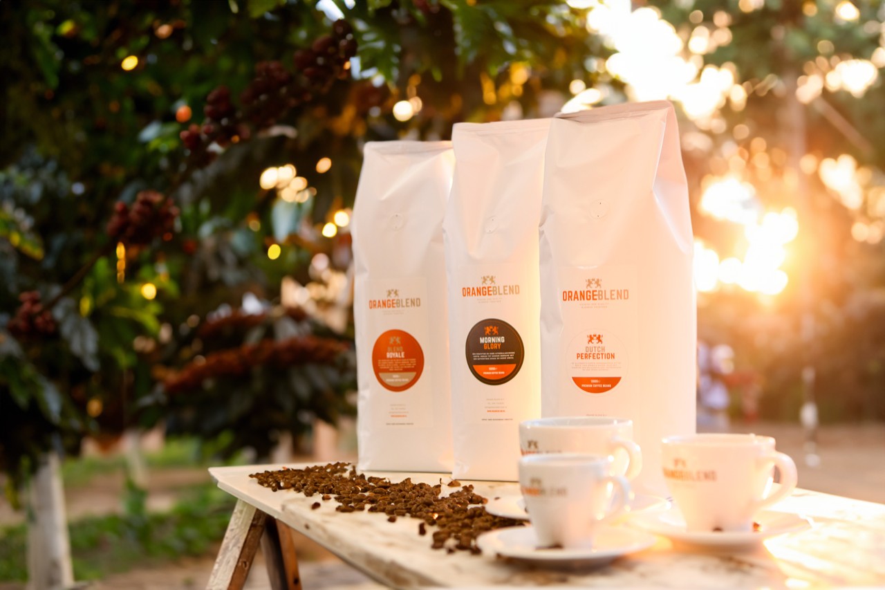 Orange Blend - Made Blue Foundation