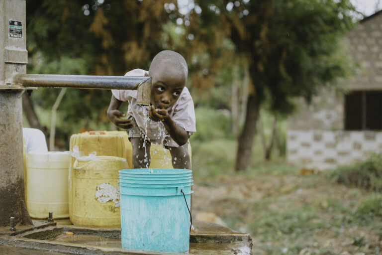 Orange Blend - Made Blue Foundation
